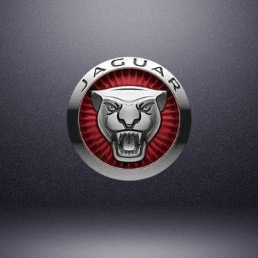 Home - SMG Automotive Mechanic Bayswater